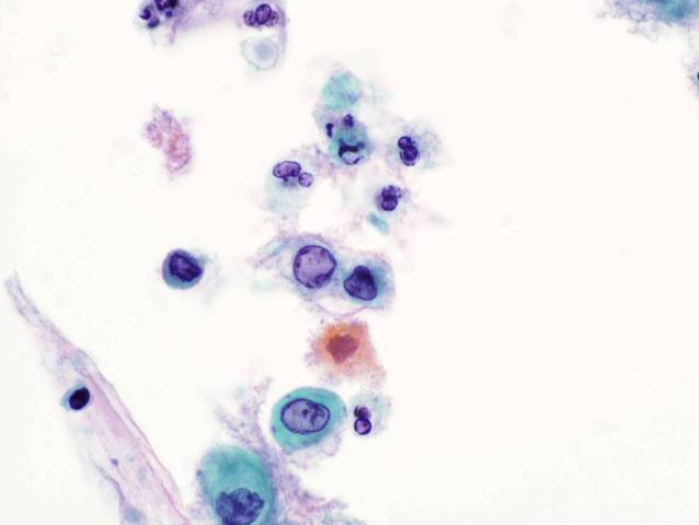 Learning Resourses | LRCTC